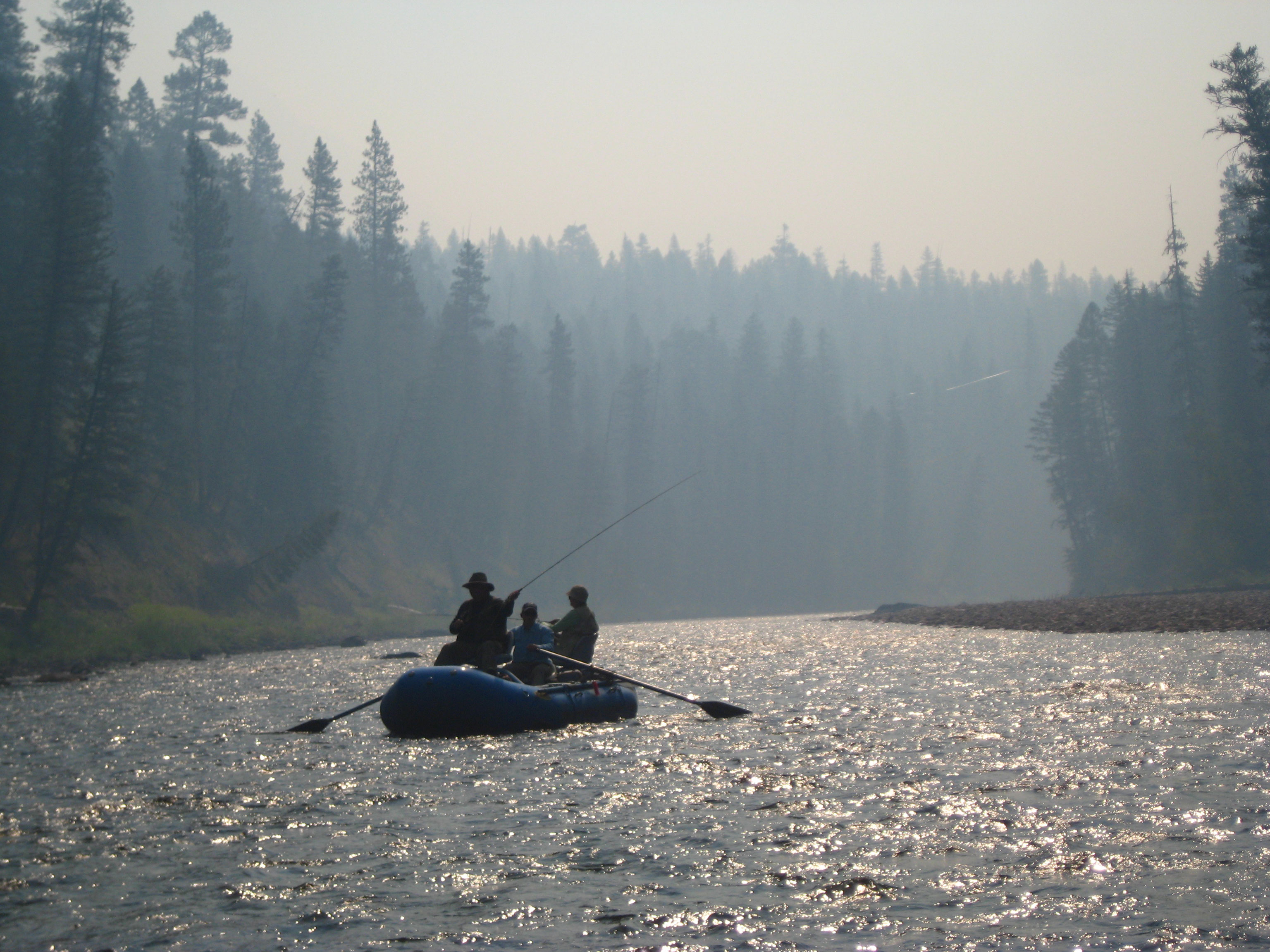 Virginia Coast Ecotours | Kayak, Sail, Motorboat on Virginia's Eastern ...